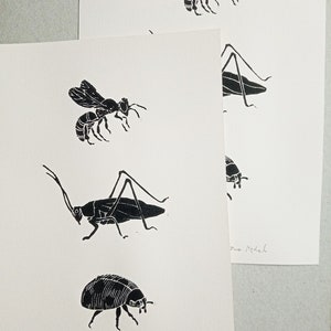 Linocut Insects of the Fields, Original Art Print, Natural Home Decor ...