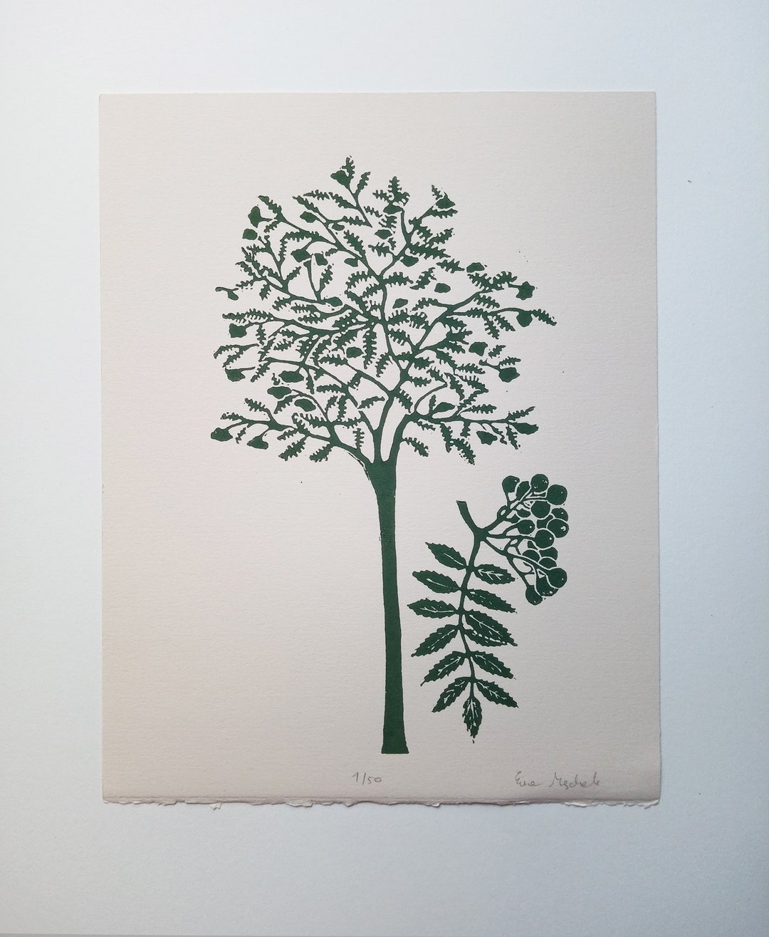 Rowan Tree - Linocut, Original Art Print, Wall Art, Printmaking, Forest ...