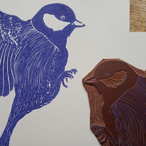 Linocut Bird, Original Art Print, Nature Art, Ornithological ...