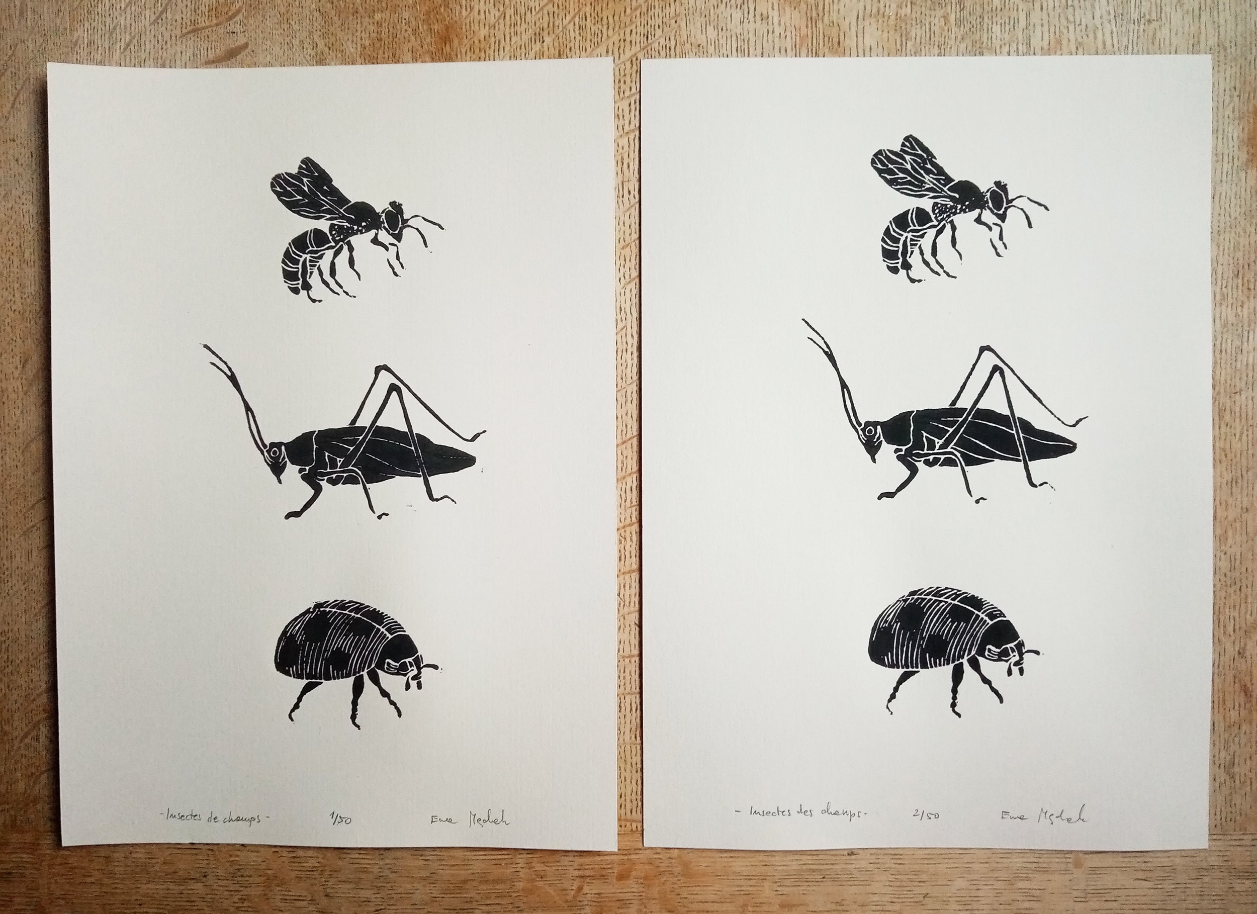 Linocut Insects of the Fields, Original Art Print, Natural Home Decor ...