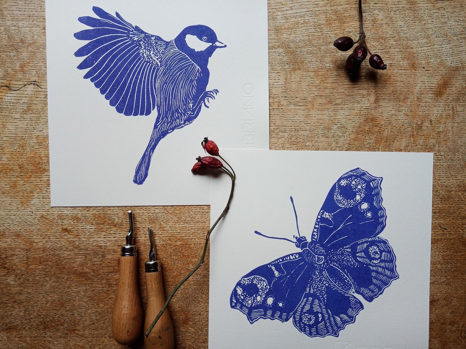 Linocut Butterfly Original Art Print Cabinet of Curiosities - Etsy