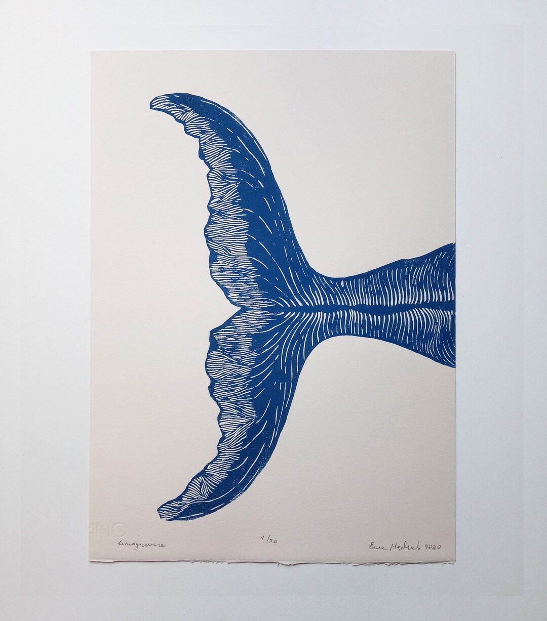 Linocut Fin Whale - Original Art Print, Engraved and Printed by Hand ...