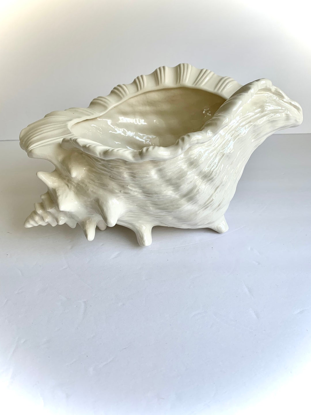 Conk Shell - Largest - Etsy