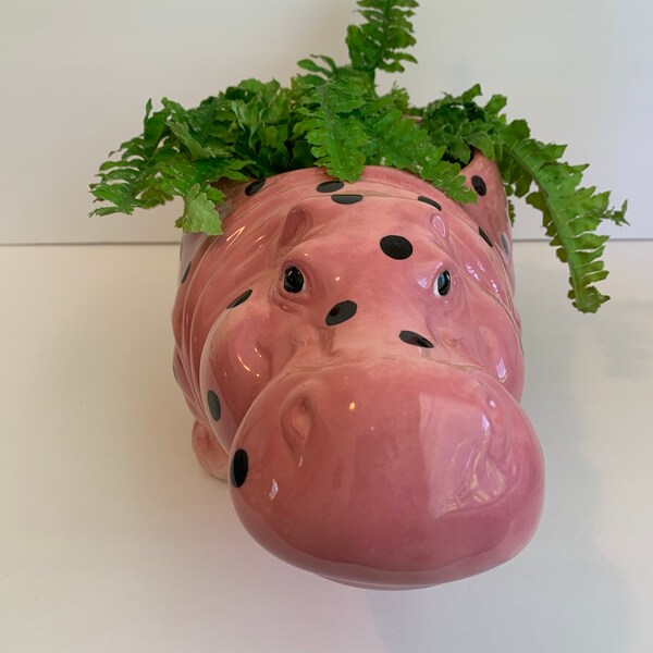 Hippopotamus Planter - Etsy
