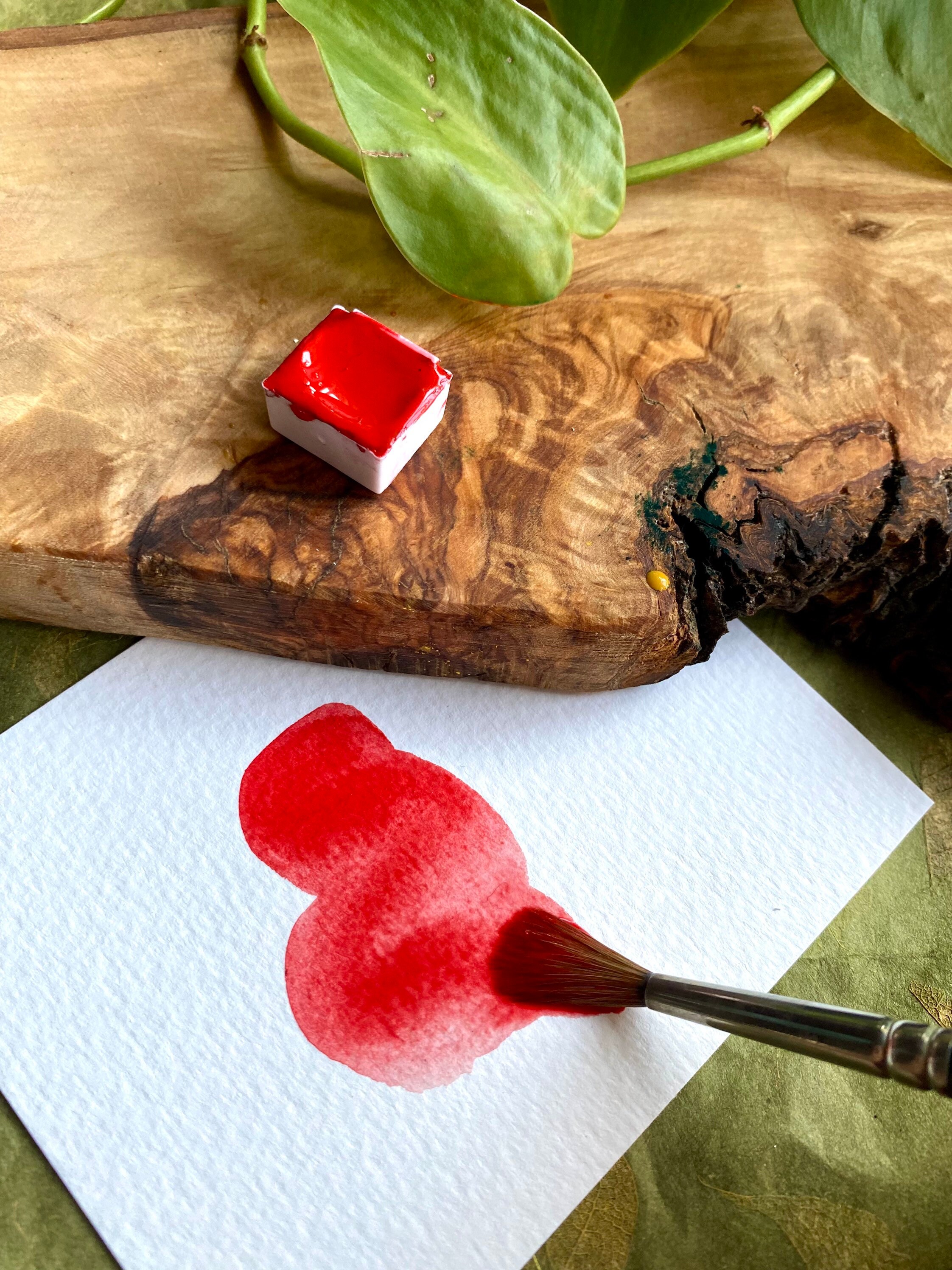 Vermillion Handmade Watercolor Paint - Etsy