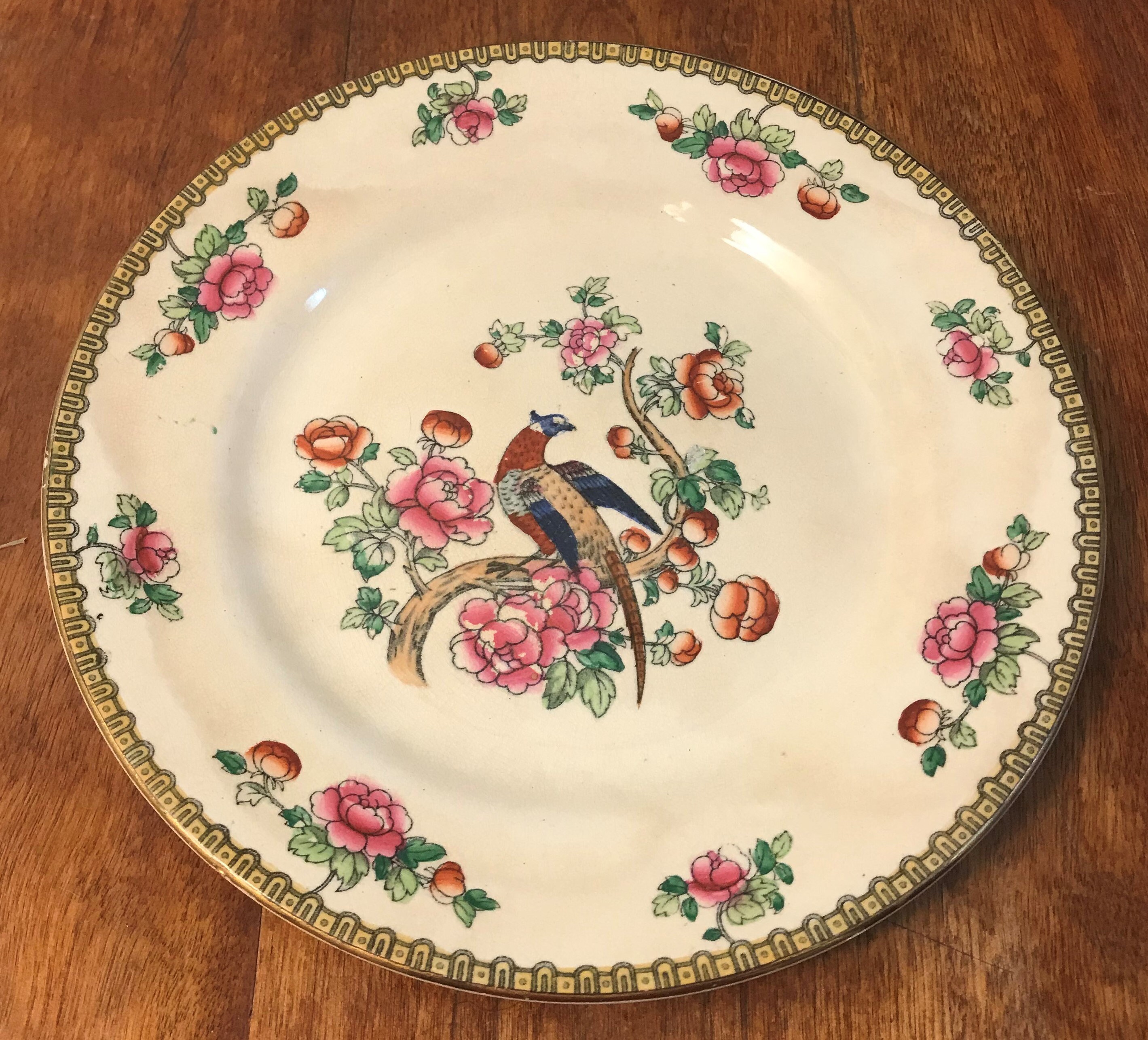 F Winkle & Co. Whieldon Ware Pheasant Salad Plate - Etsy UK
