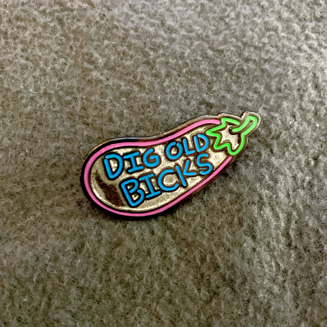 Dig Old Bicks Hard Enamel Pin - Etsy