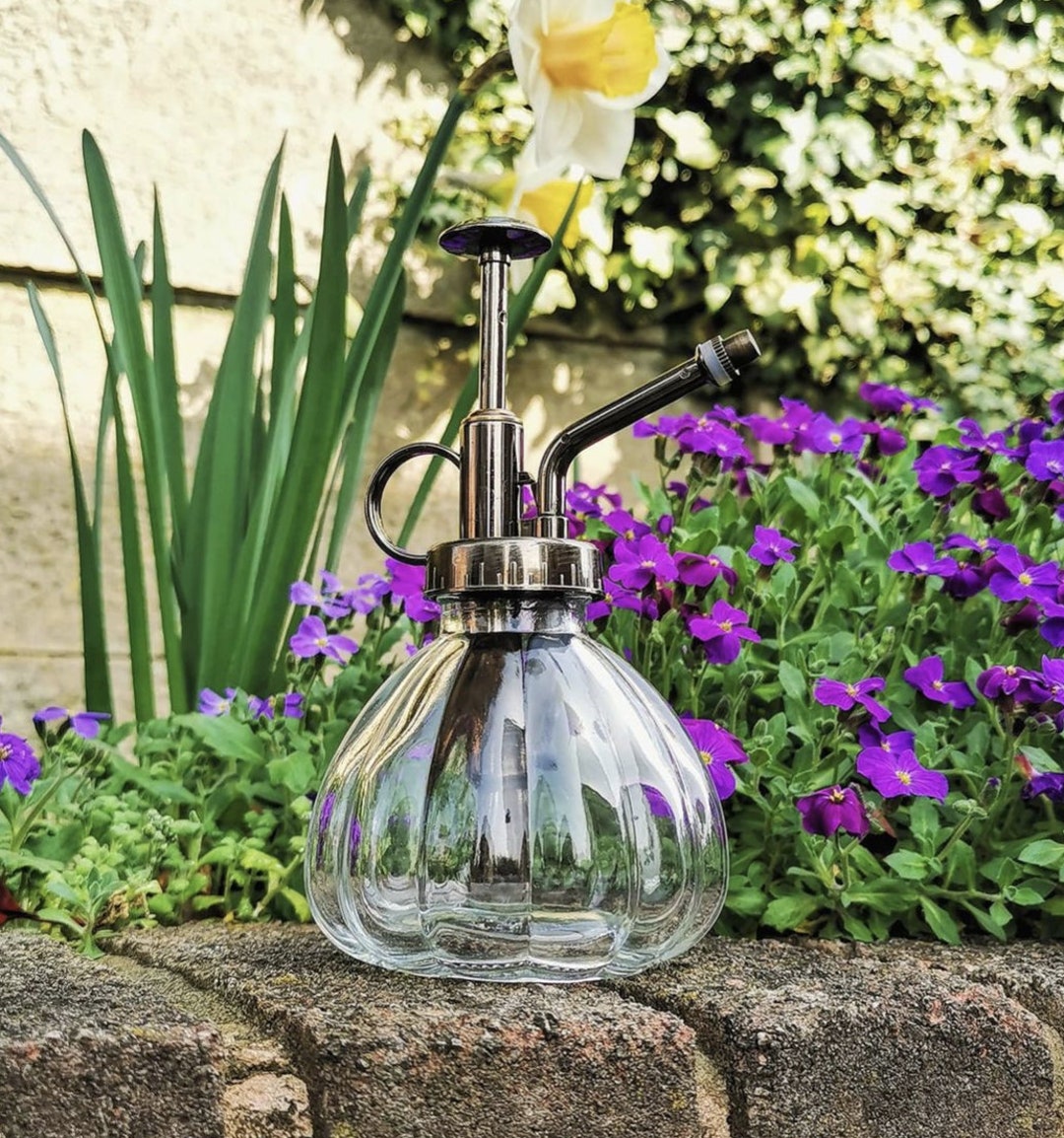 Botanical Plant Mister Indoor Plant Mister Three Colours Available - Etsy