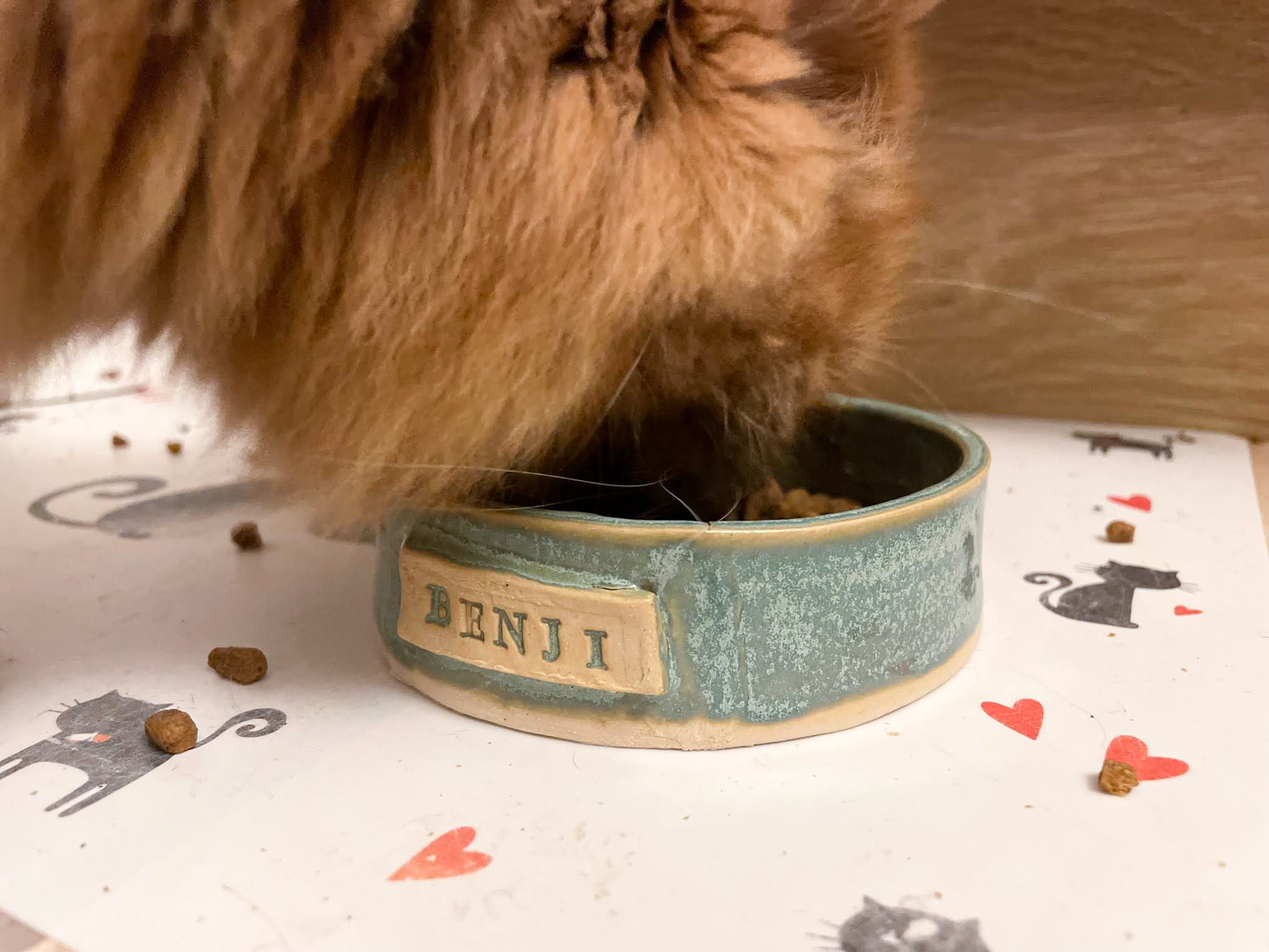 Handmade Ceramic Personalised Cat Bowls/ Pet Bowls/ Treat - Etsy UK
