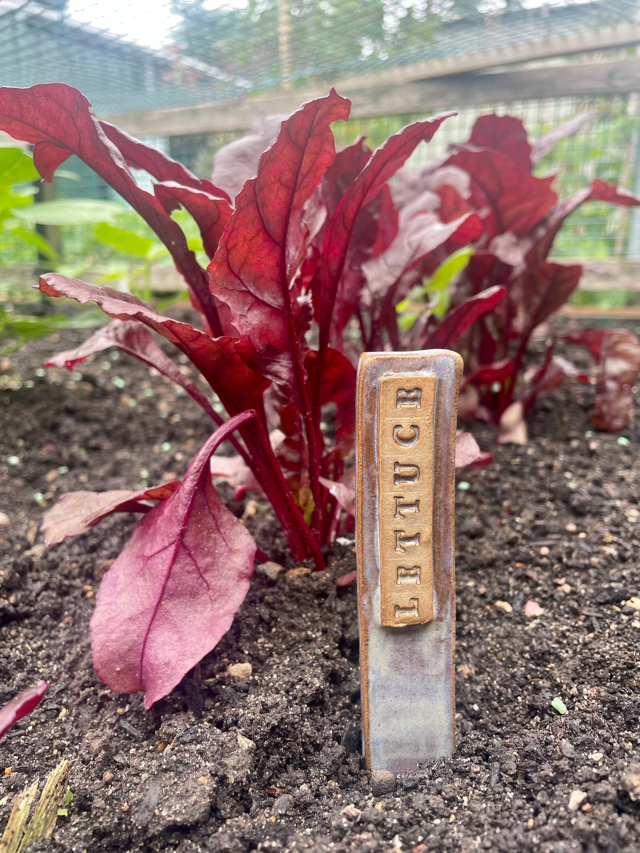 Ceramic Garden Labels Herb/ Veg/ Flowers - Etsy UK