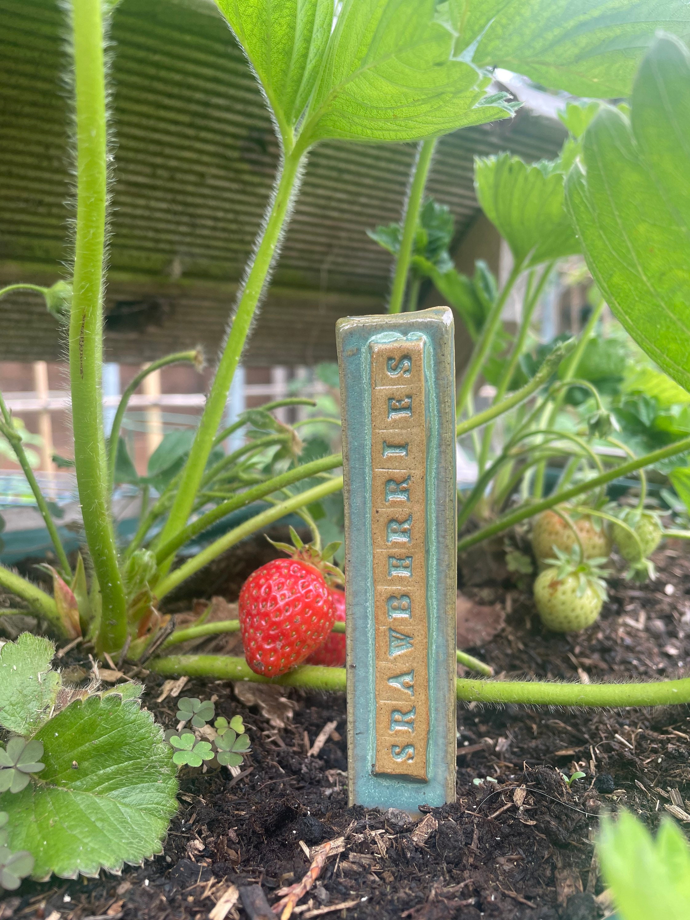 Ceramic Garden Labels Herb/ Veg/ Flowers - Etsy UK