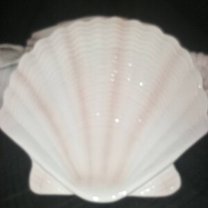 Vintage Beachcomber Ceramic Shell Tea Service Set With Bonus Shell ...