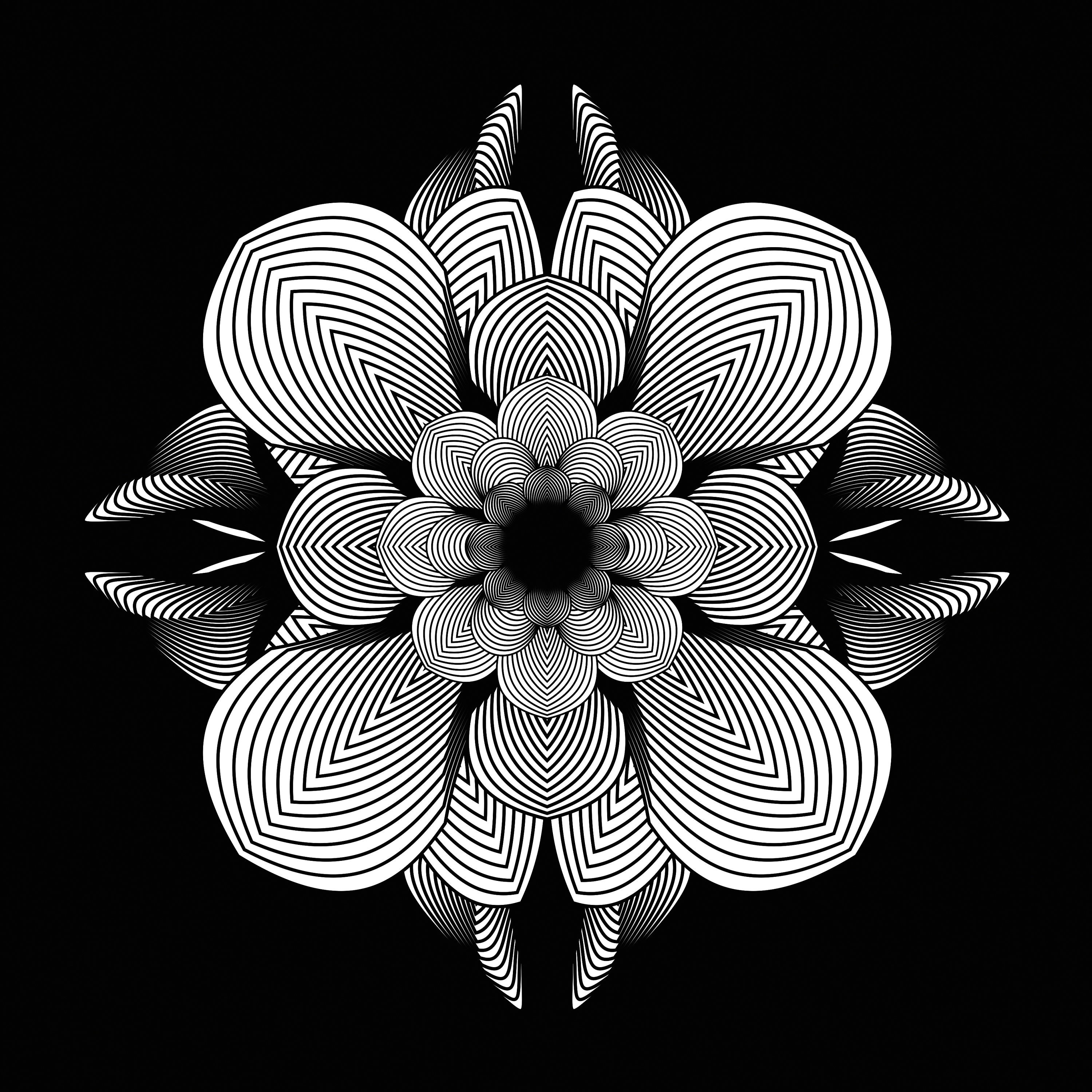 Flower Bloom Digital Download / Instant Download / Graphic Poster ...