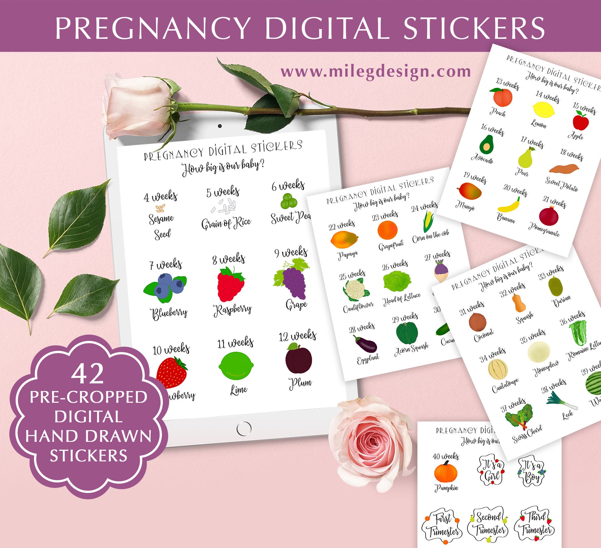 Pregnancy Digital Planner Stickers Pregnancy Fruit Planner Stickers ...