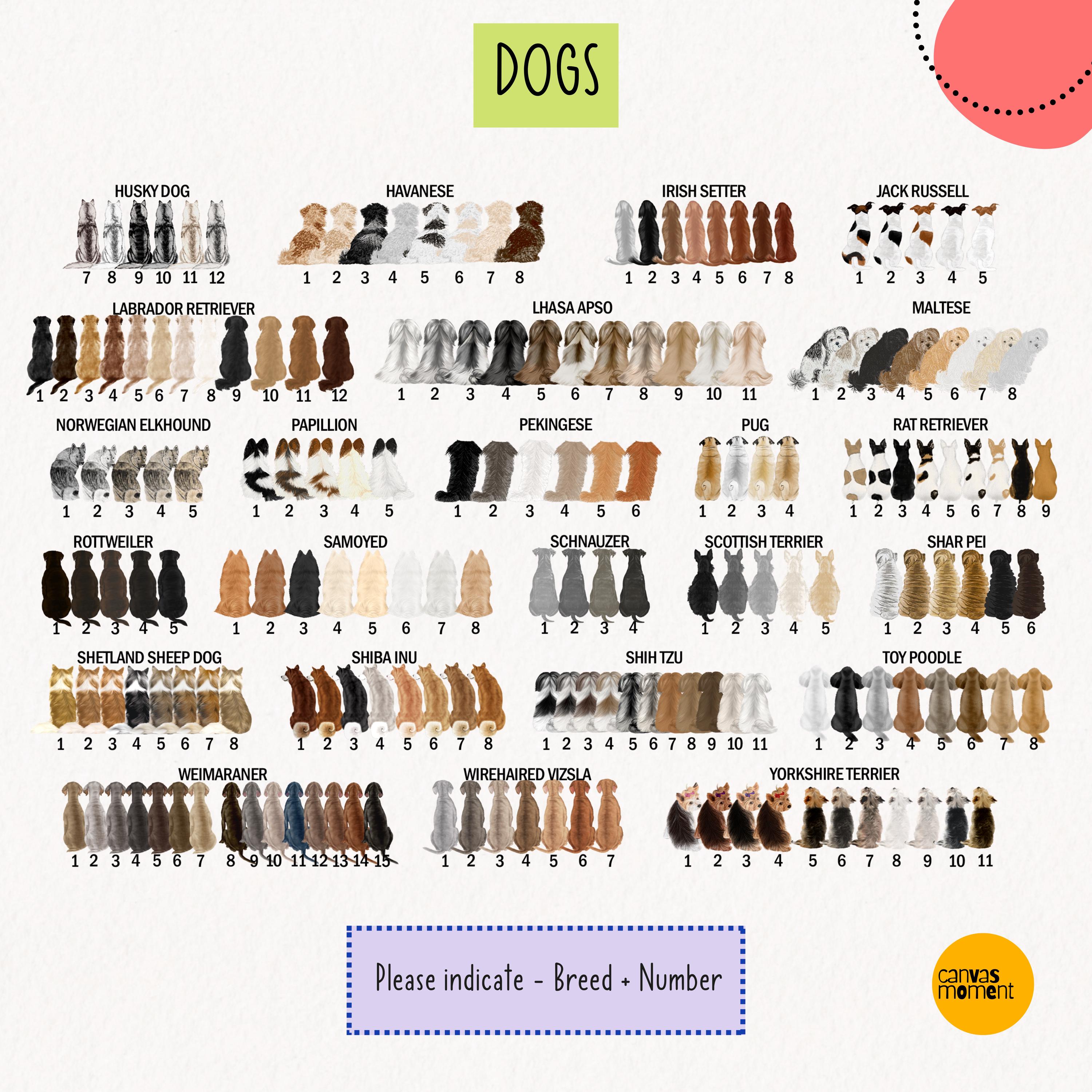 Canvas Moment Pets Options - DO NOT BUY - for Code Searches Only - Etsy