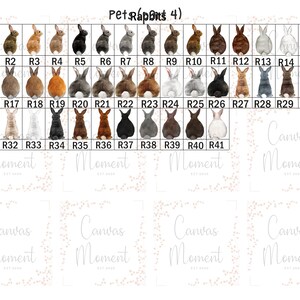 Canvas Moment Pets & Animals Options DO NOT BUY for Code Searches Only ...