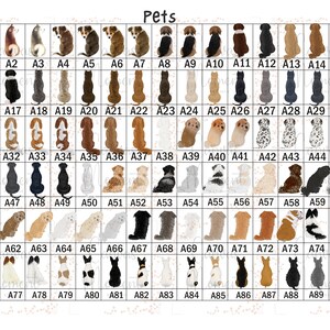 Canvas Moment Pets & Animals Options DO NOT BUY for Code - Etsy