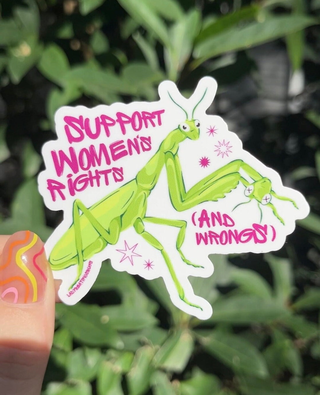 Support Womens Rights and Wrongs Praying Mantis Feminism Sticker Decal ...