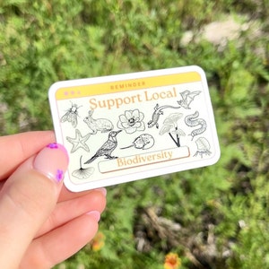 Support Local Biodiversity Environmental Preservation Original Art ...