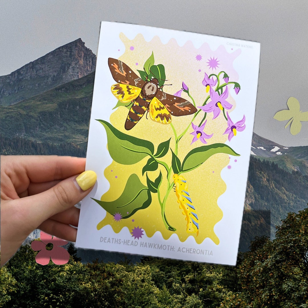 Deaths Head Hawkmoth Art Print, Skull Moth Art Wall Print Poster ...