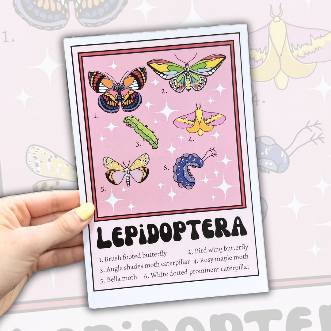 Colorful Lepidoptera, Moths and Butterflies, Art Print, Butterfly and ...