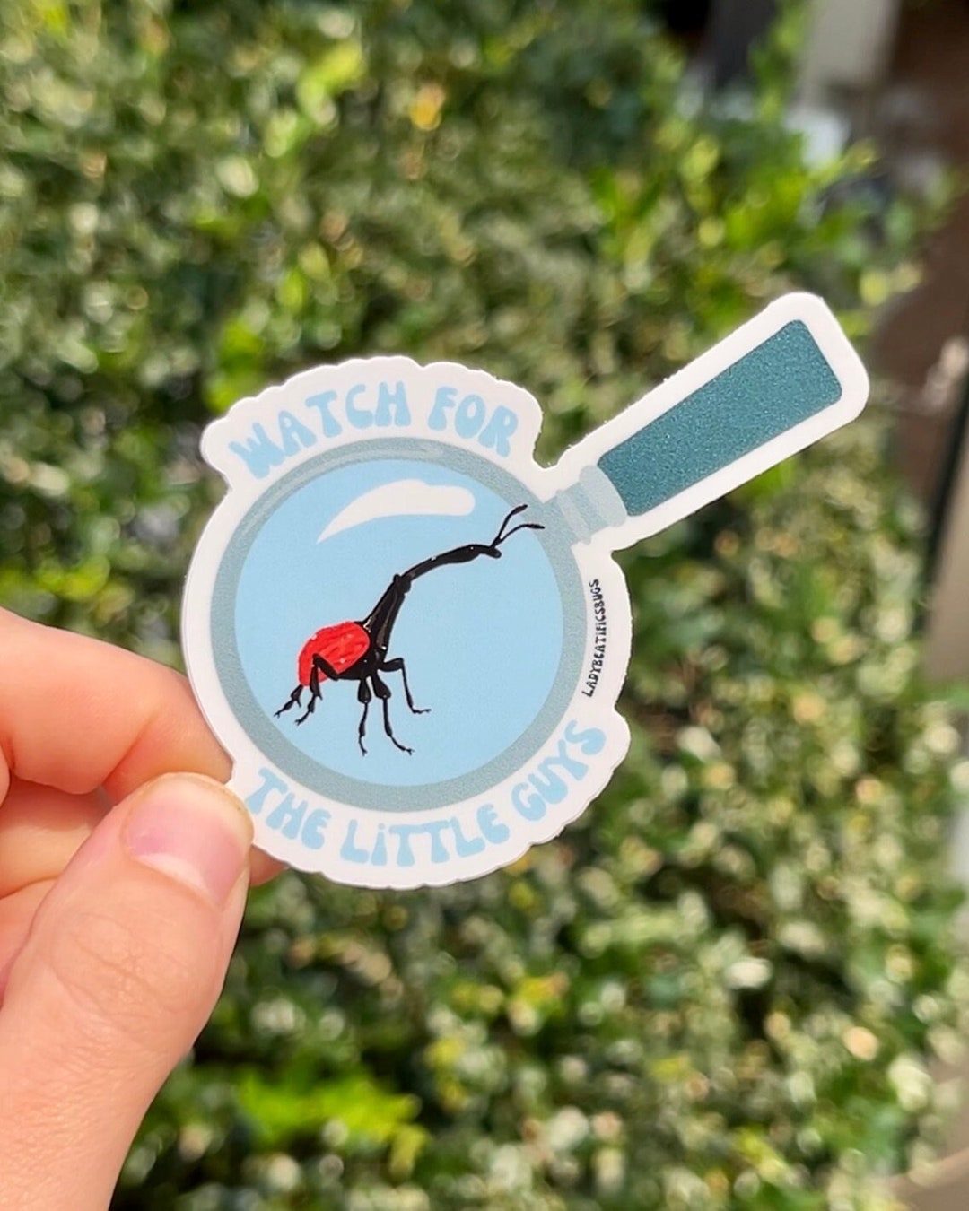 Giraffe Weevil Cute Beetle Critter Environmental Preservation Original ...