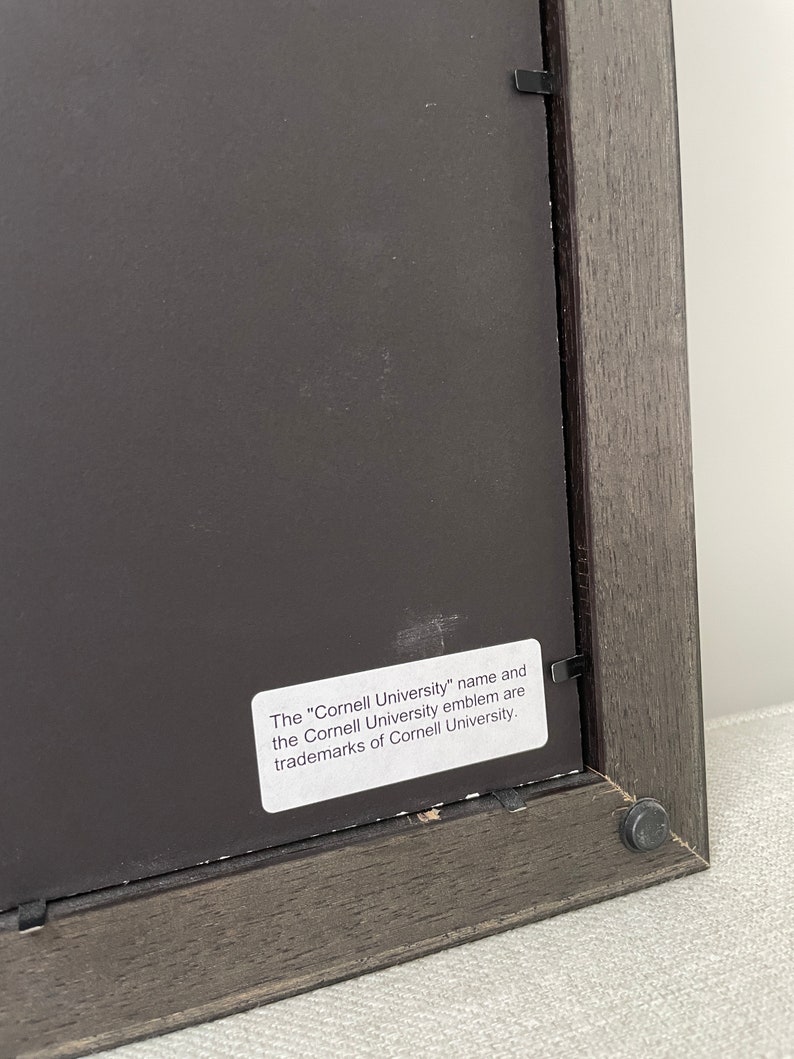 Cornell University Diploma Frame - Etsy