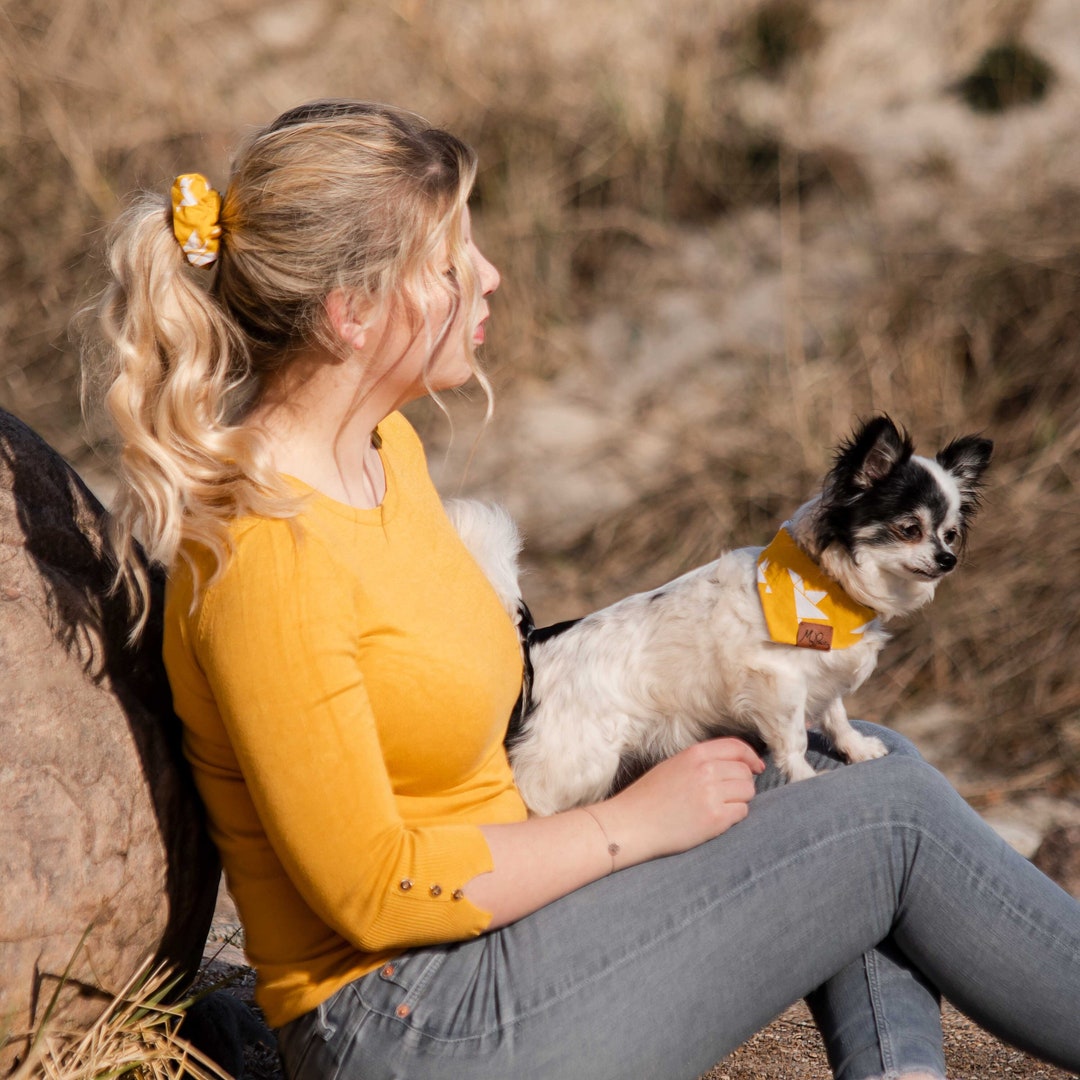 Set: rusty Dog Scarf & Scrunchie, Hair Tie, Reversible Scarf, Bandana ...