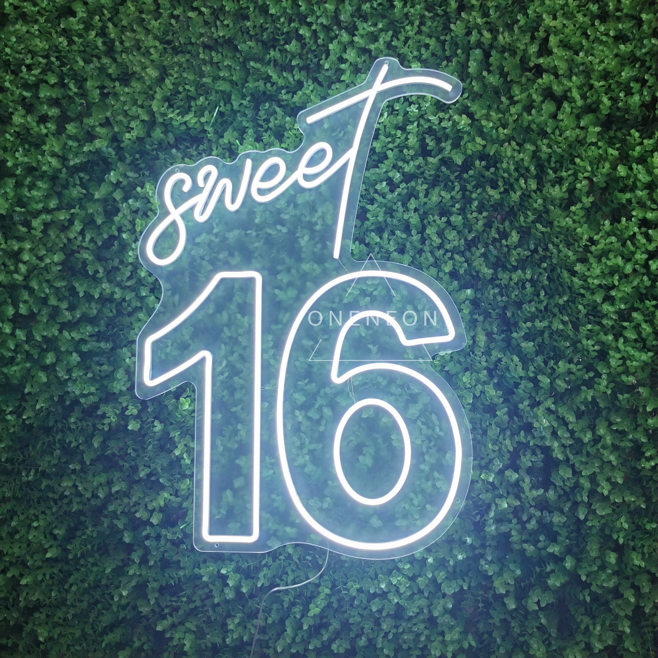 Custom Sweet 16 Birthday Neon Sign Home Decorations | Etsy