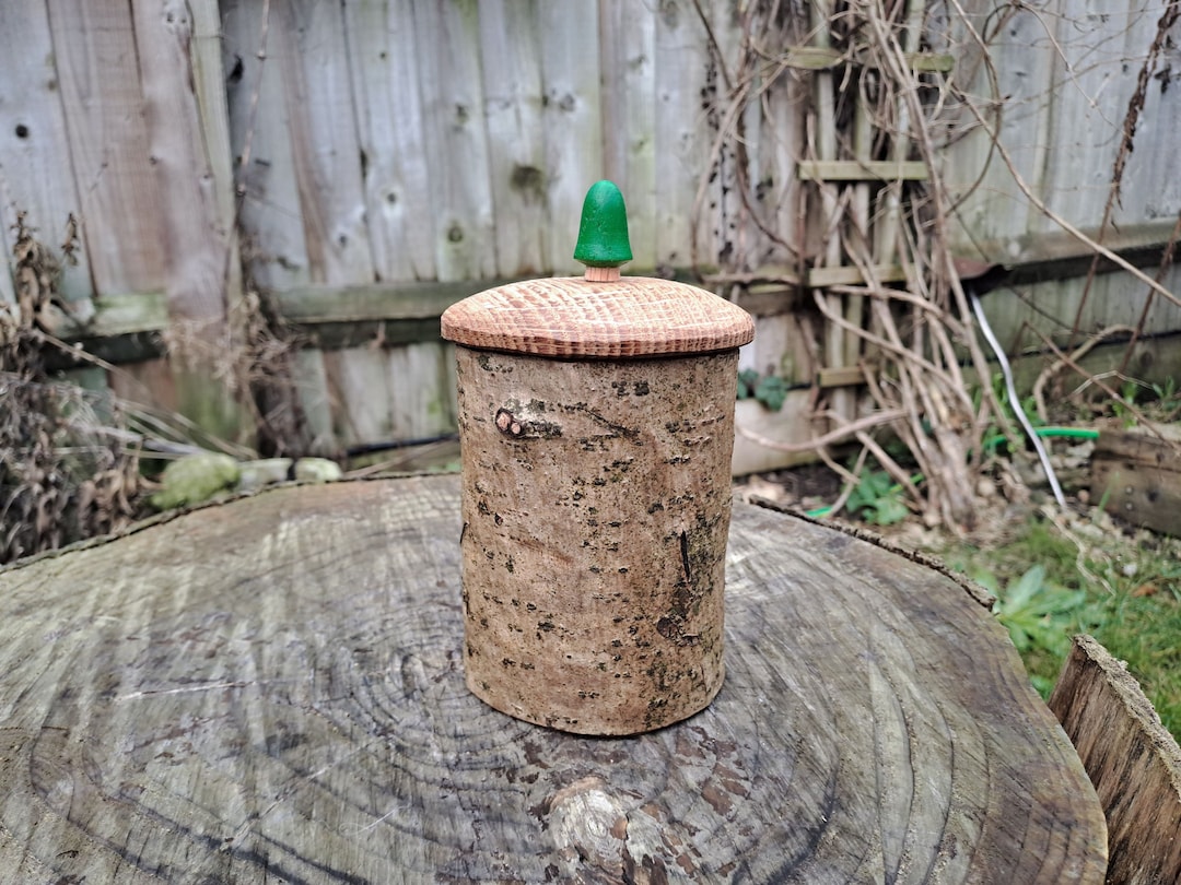 Hazel Wood Shrink Pot With Oak Lid Medium Hand Carved Wooden Container ...