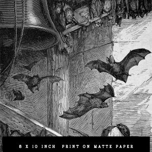 Bats in Belfry Vintage Gothic Art Print Illustration Etching Dark ...