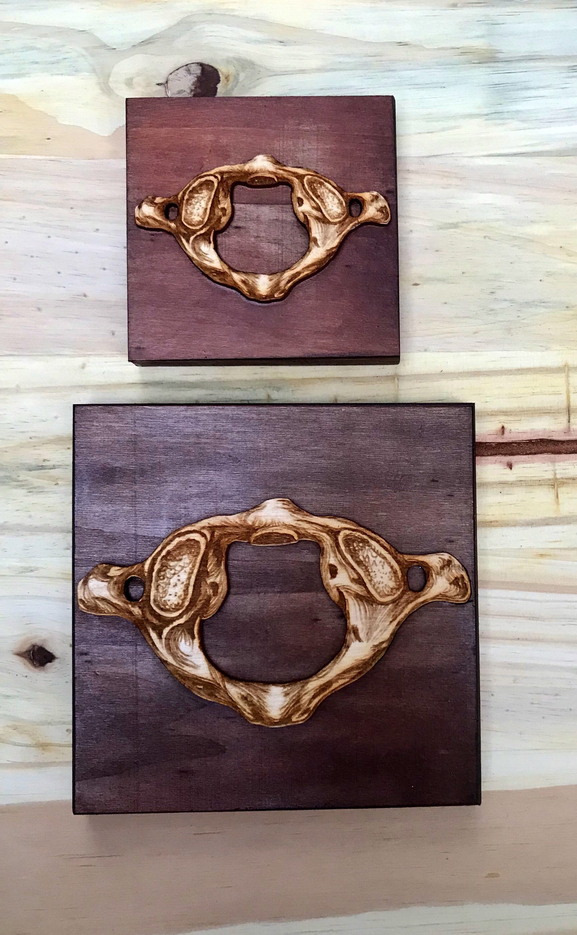 Wooden Atlas Vertebra Wall Hanging - Etsy