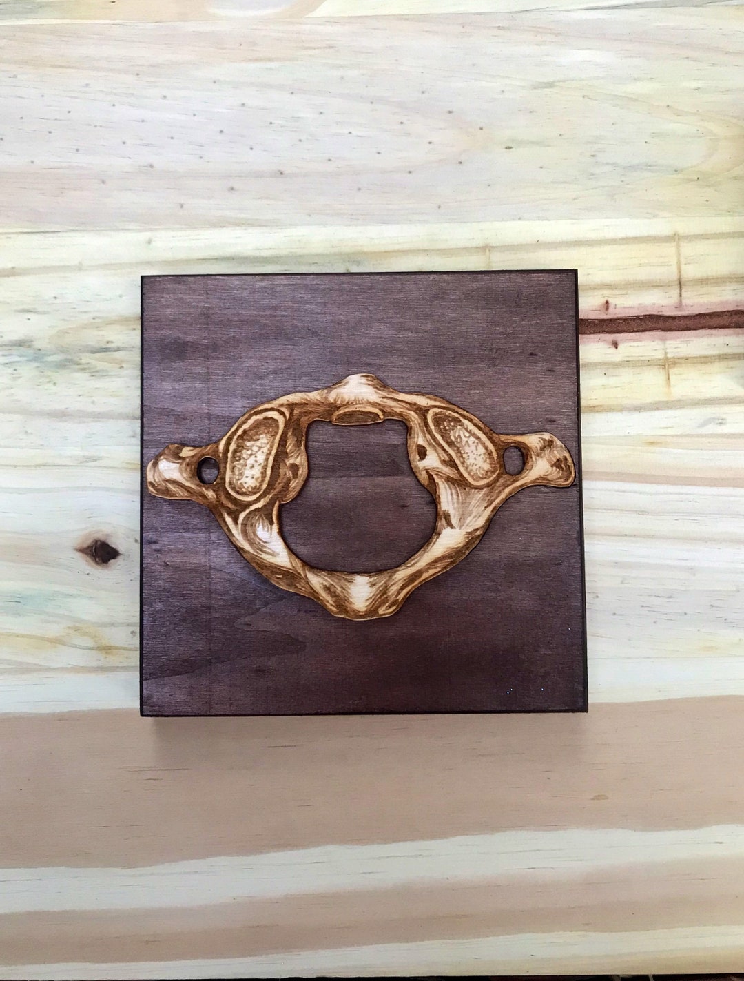Wooden Atlas Vertebra Wall Hanging - Etsy