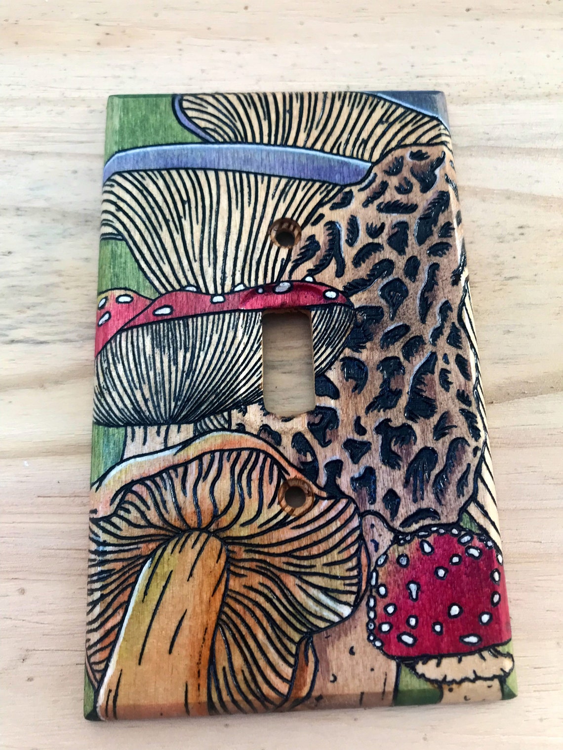 Hand Painted Single Toggle Lightswitch Cover Colorful | Etsy