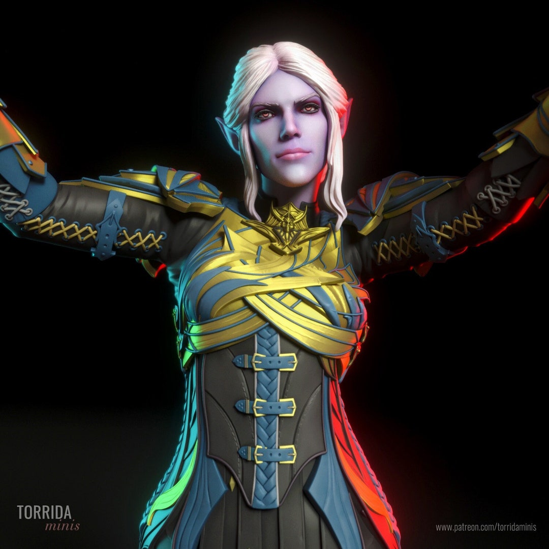 Dark Elf Paladin Pin up Statue & Miniature | Torrida Minis - Etsy