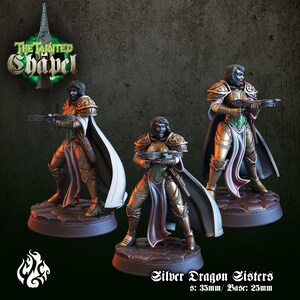 Silver Dragon Sisters Tabletop Miniature Set| the Tainted Chapel Collection | Crippled God ...