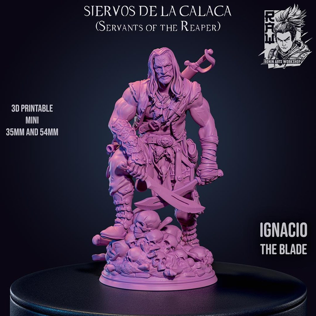 Ignacio the Blade | UNPAINTED | Servants of the Reaper | Ronin Arts ...