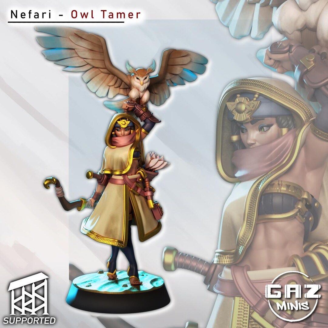 Nefari the Owl Tamer Tabletop Miniature and Variants | UNPAINTED | May ...