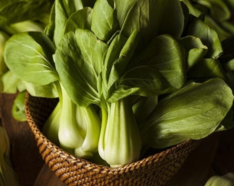 16000 2-OZ Pak Choi Canton Seeds 廣東白菜 / White Stem Bok Choy - Etsy