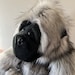 George Gorilla PDF Sewing Pattern Stuffed Animal 18" Tall Seated - Etsy