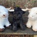 Angus the Highland Cow PDF Sewing Pattern 19" Plush Stuffed Animal ...