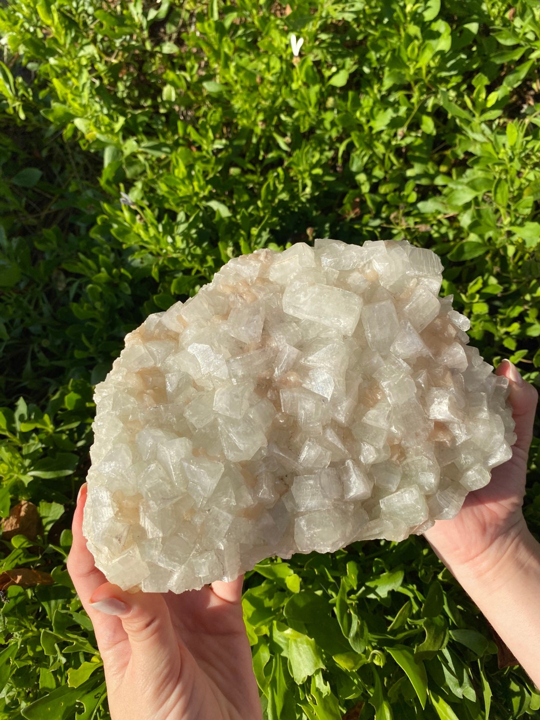 Apophyllite and Stilbite Cluster Large Statement Cubic Apophyllite ...