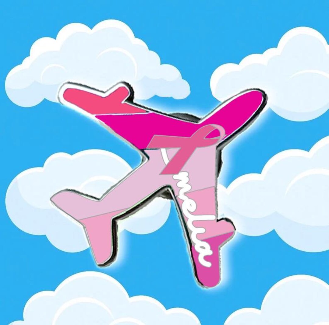 The Amelia Airplane Pin 1inch - Etsy