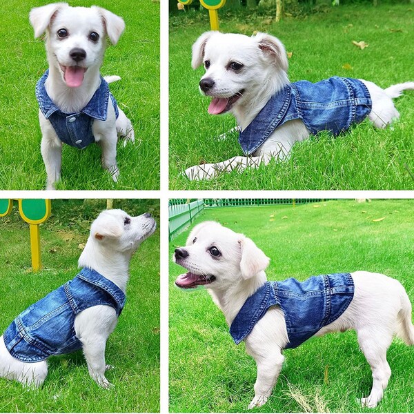 Denim Dog Jacket - Shop Online - Etsy
