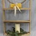 Rustic Hanging Ladder Shelf 1, 2, or 3 Shelves With or Without Live ...