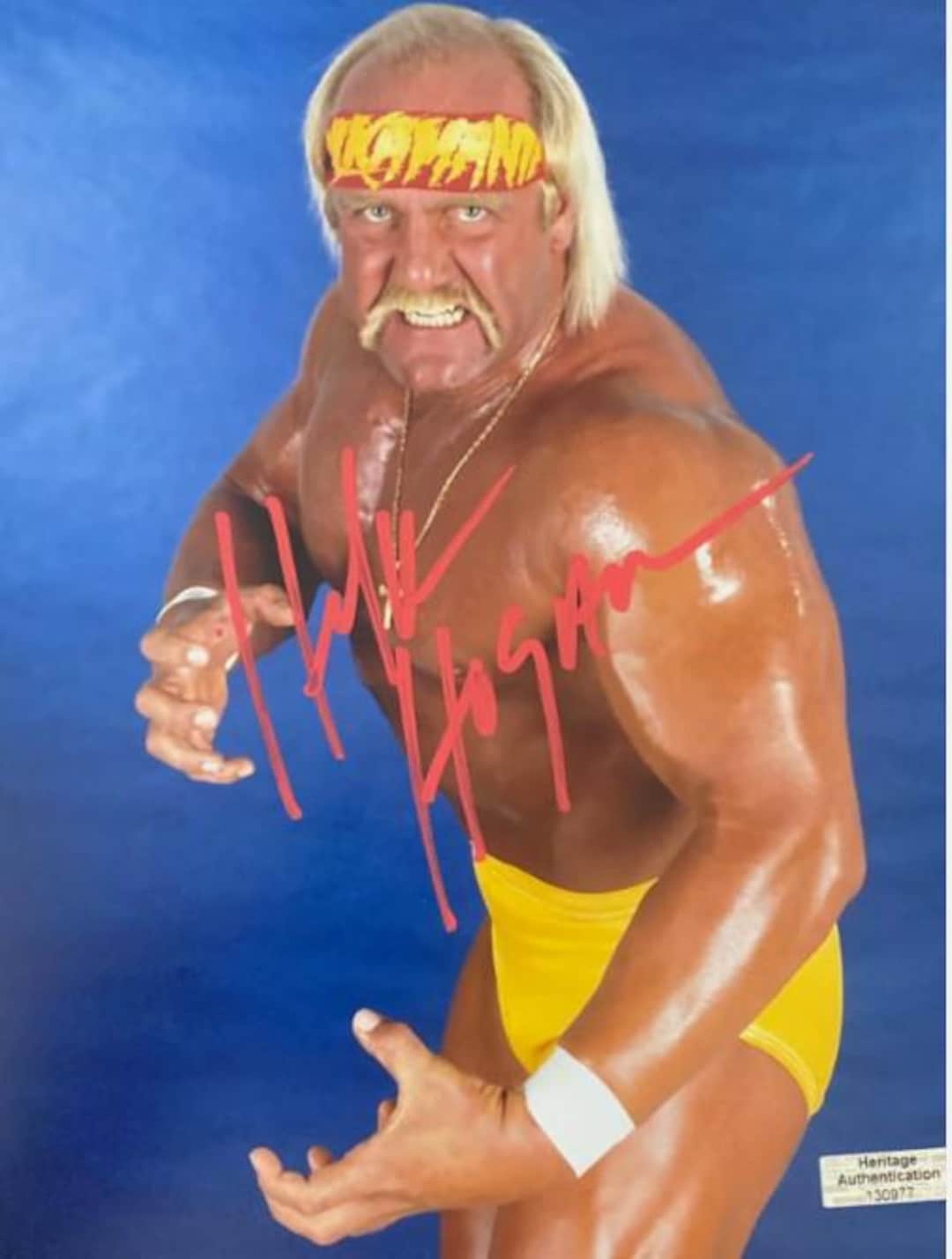 Hulk Hogan WWE WWF Signed Autographed 8x10 Photo With COA - Etsy