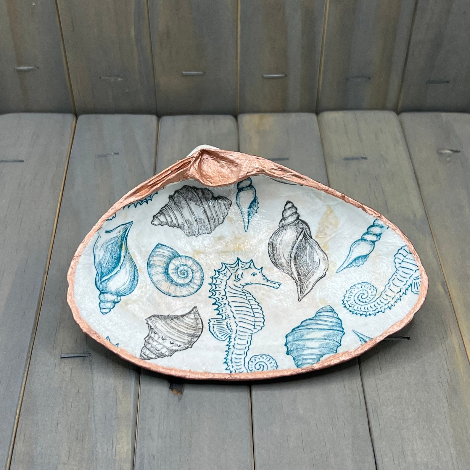 Large Genuine Clam Shell Bowl, Clam Shell Jewelry Dish, Trinket Dish ...
