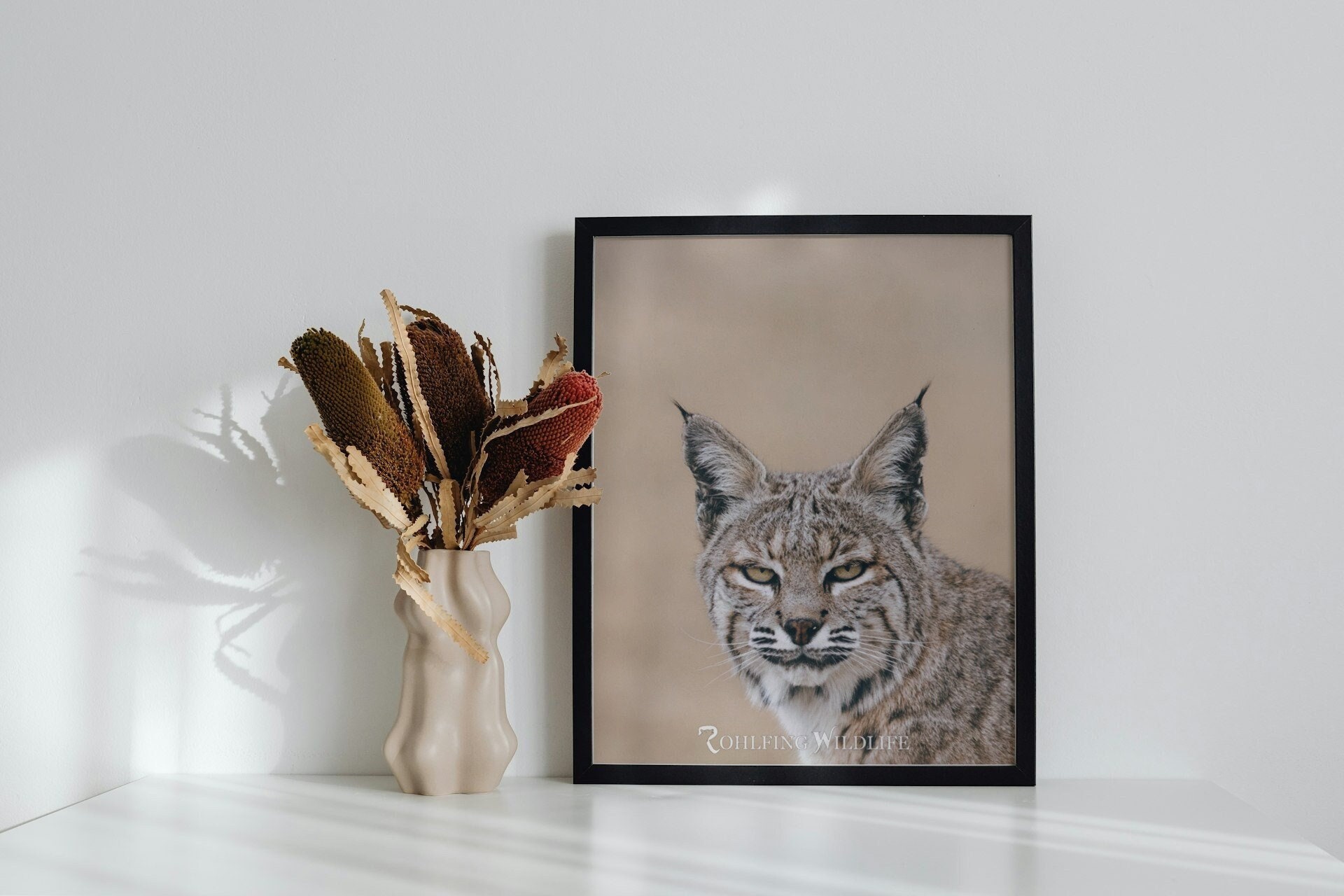 Desert Bobcat Portrait, Big Cat Print, Southern Arizona Art, Powerful ...