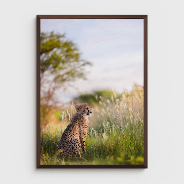 Cheetah Cub - Etsy