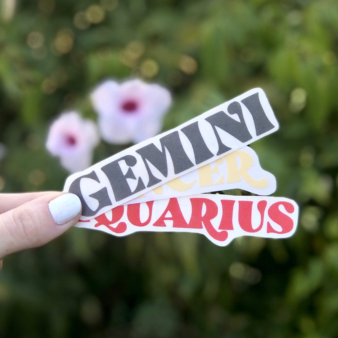 Zodiac Sign Vinyl Sticker - Etsy